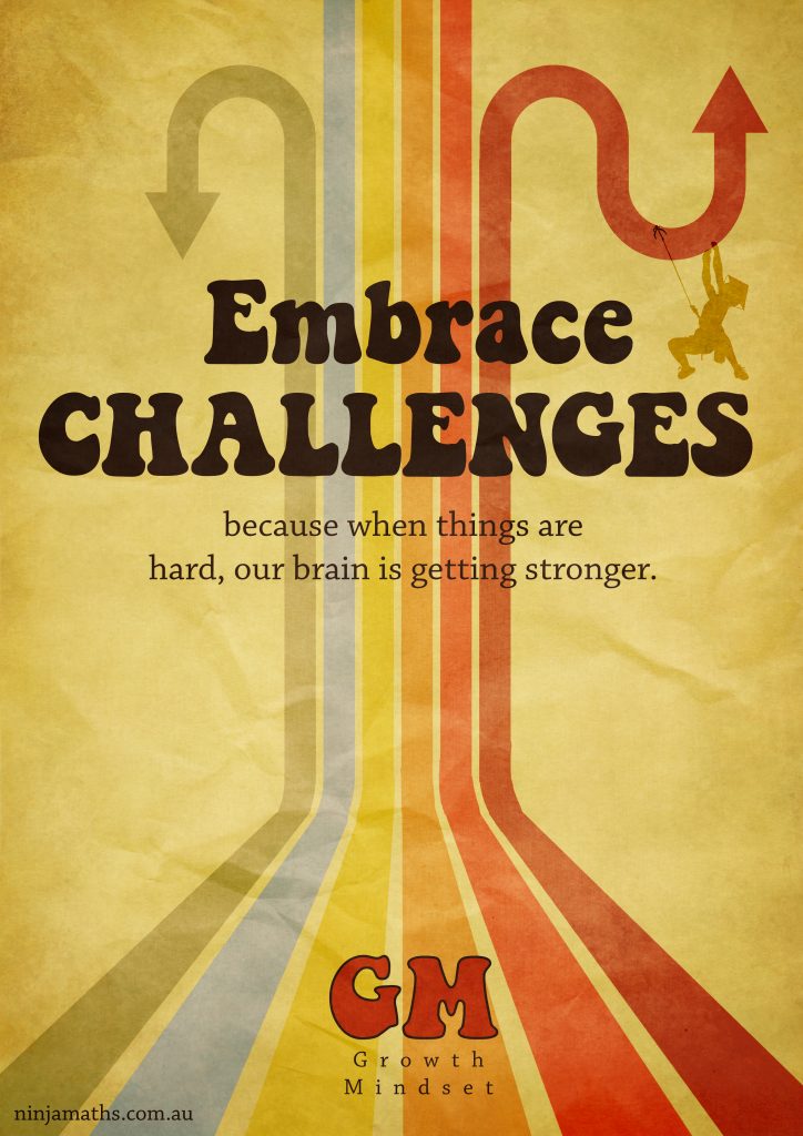 Embrace Challenges | Ninja Maths